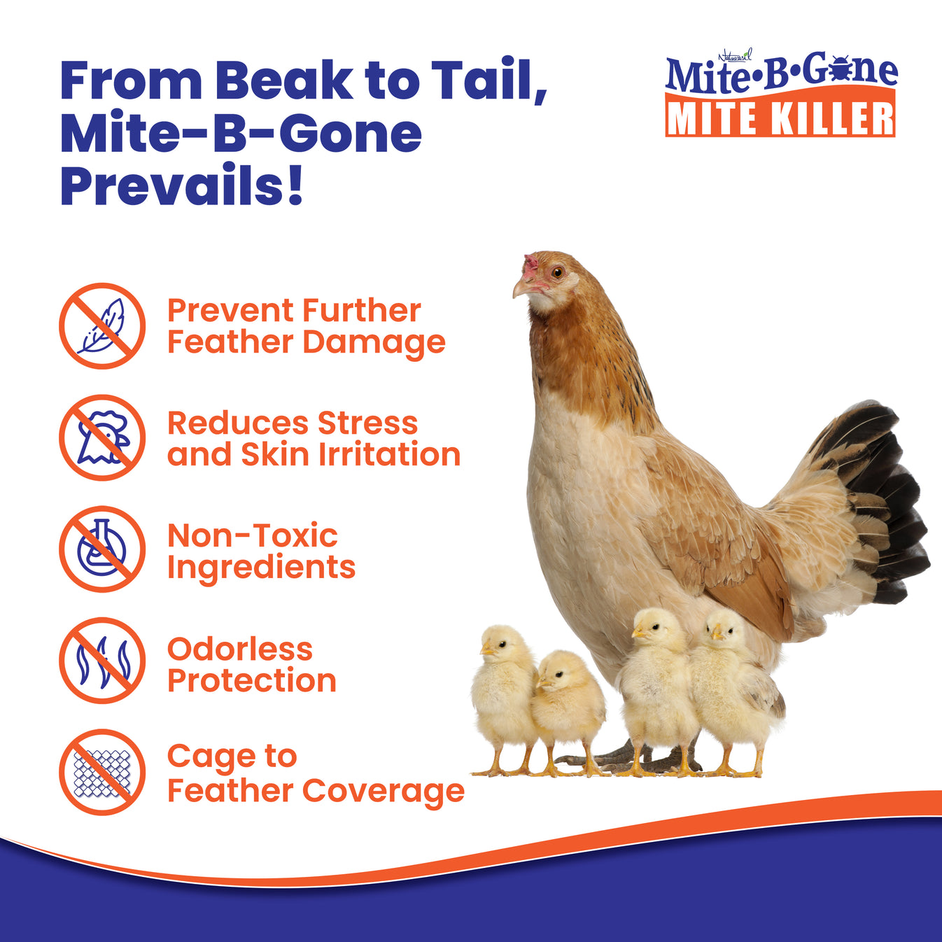 Mite-B-Gone Mite Killer Spray 32oz – Naturasil