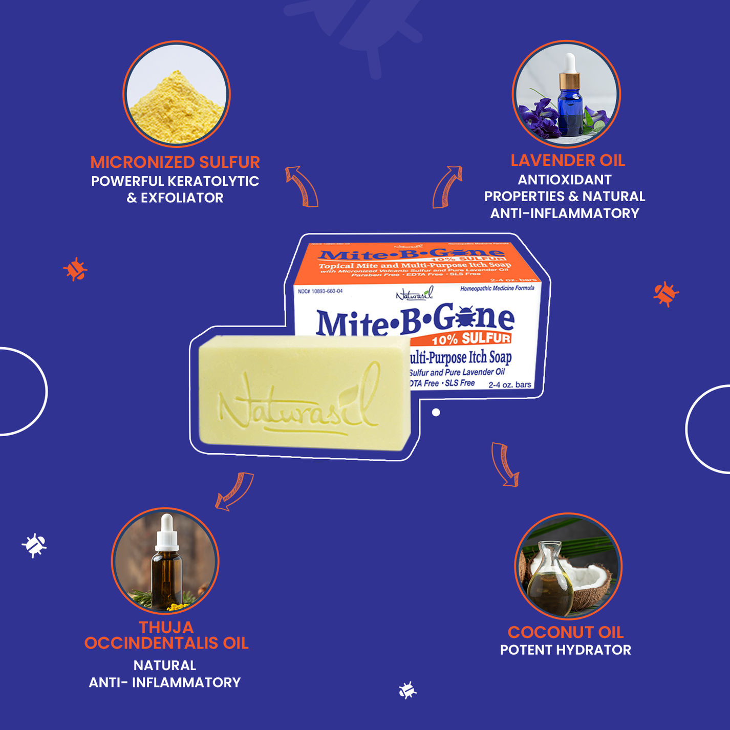 Mite Eliminator Relief Pack | Mite-B-Gone 10% Sulfur Cream | 2- Mite-B ...