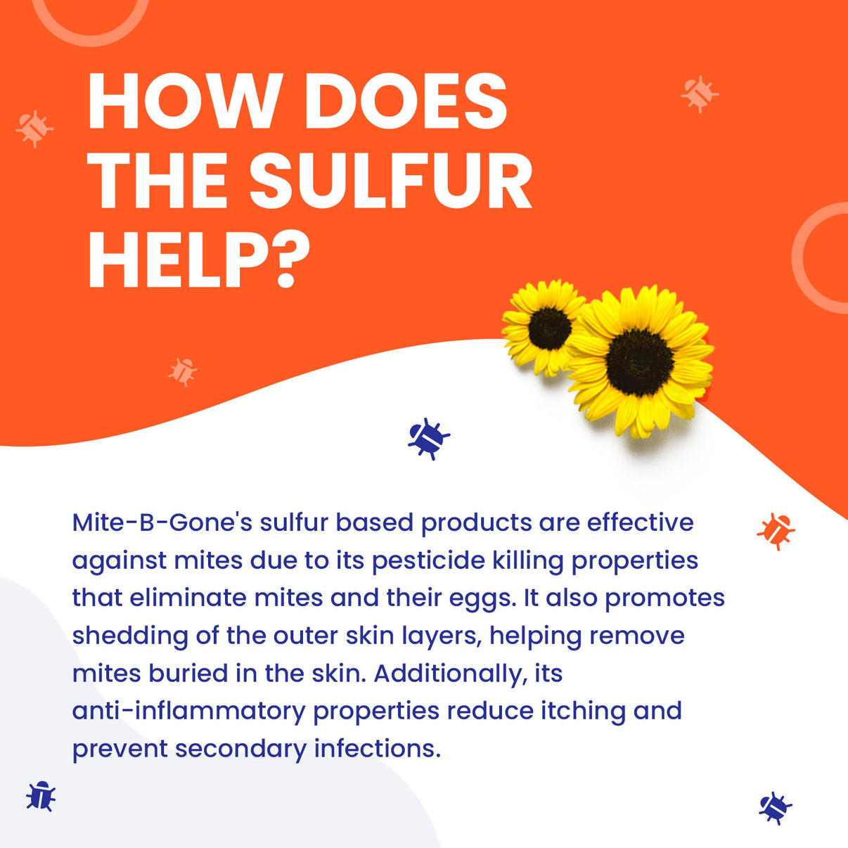 Mite-B-Gone Sulfur Cream (4oz) | Itch Relief from Mites, Insect Bites ...