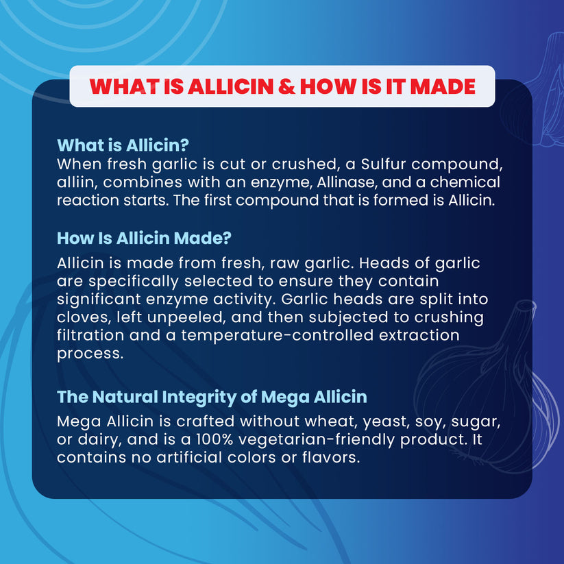 Mega Allicin 100% Allicin from Premium Garlic Made from a Patented and ...