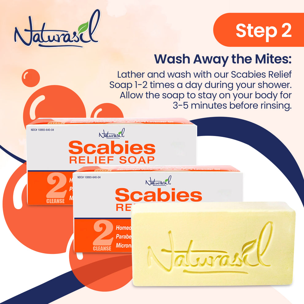 Scabies Treatment Family Pack | Complete Infestation Solution for up to ...